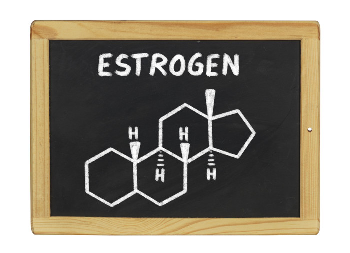 Natural Alternatives to Estrogen - Naturally Increase Estrogen Levels ...
