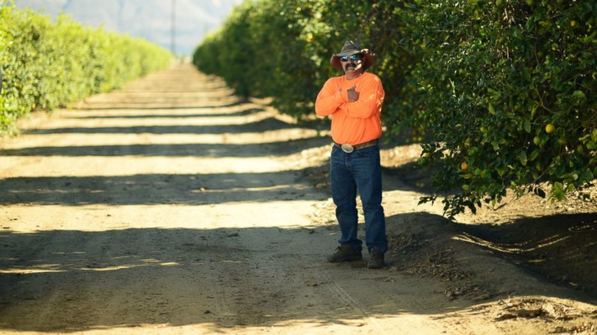 Tree T Pee Now in 2026 - After Shark Tank Update - Gazette Review
