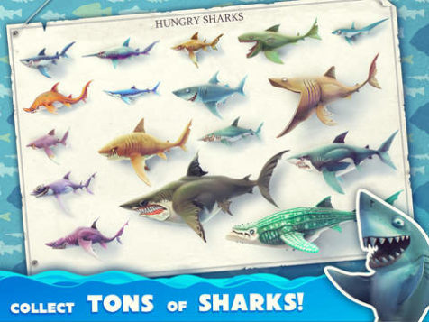 Hungry Shark World Cheats, Tips, & Tricks - Gazette Review