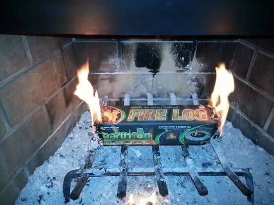 Earth Log Now in 2025 - After Shark Tank Update - Gazette Review