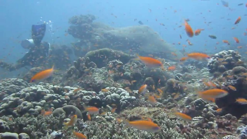 10 Micro Nations You Didn't Know Existed - Gazette Review