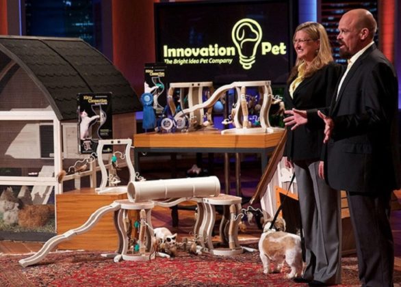Innovation Pet Update – What Happened After Shark Tank - Gazette Review