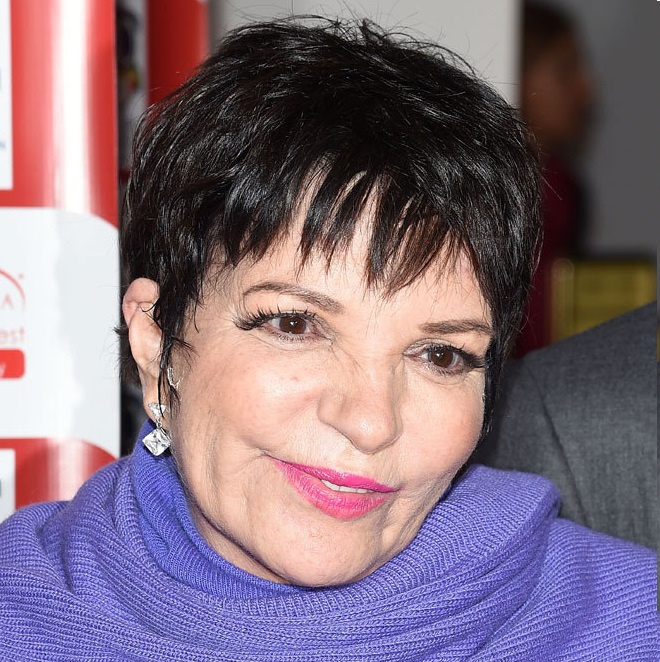 What Happened to Liza Minnelli – 2018 Update - Gazette Review