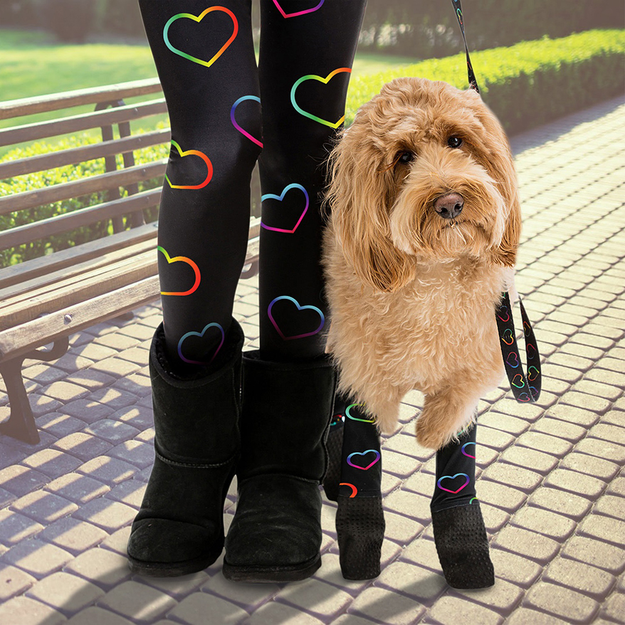 Walkee Paws After Shark Tank - 2026 Update - Gazette Review