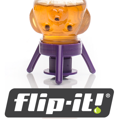 Flip-it! Cap After Shark Tank - 2025 Update - Gazette Review