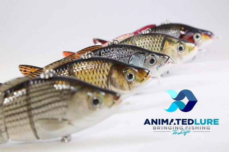 Animated Lure After Shark Tank Update 2026 - Where Are They Now ...