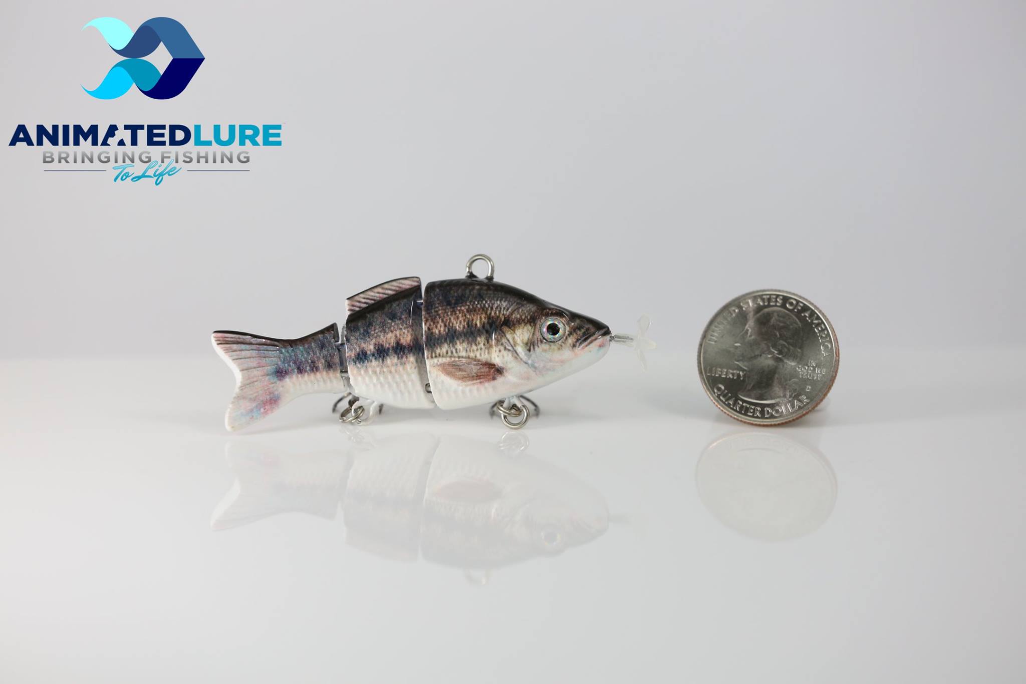 Animated Lure After Shark Tank Update 2026 - Where Are They Now ...