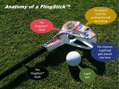 FlingGolf After Shark Tank Update 2026 - Where Are They Now - Gazette ...