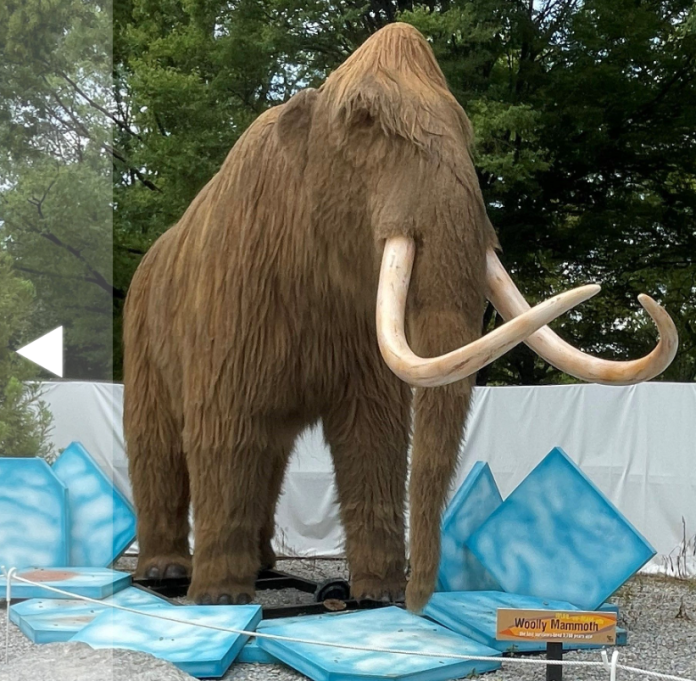 Dino Don After Shark Tank - 2025 Update - Gazette Review