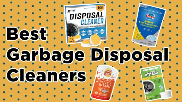 Best Disposal Cleaners 2026 - Top 10 Garbage Disposer Cleaning Products
