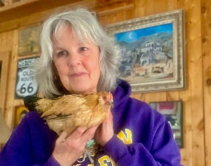21-Year-Old Peanut is the World's Oldest Living Chicken - Gazette Review