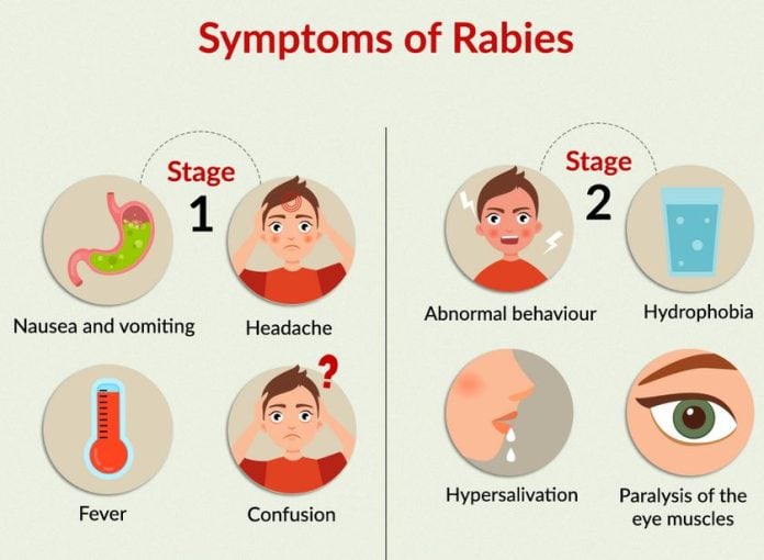 First Human Case of Rabies Reported in Ontario In Almost 60 Years ...