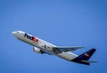 FedEx Plane Catches Fire After Bird Strike During Takeoff - Gazette Review