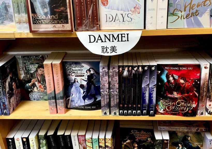 Chinese Police Arrest Female Authors of 'Boys' Love' Fiction - Gazette ...