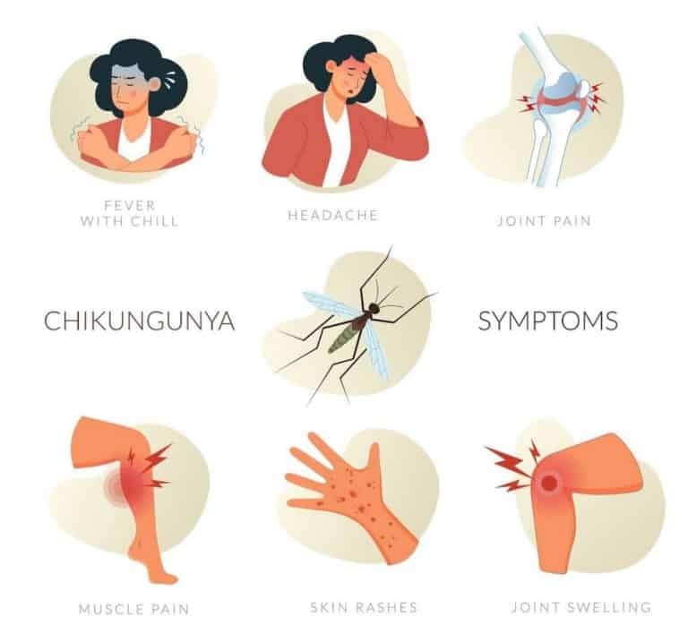 China Reports More Than 7,000 Cases of Chikungunya Virus - Gazette Review