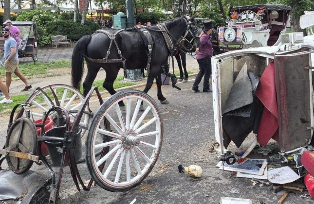 Teen Dies After Being Thrown From Horse-Drawn Carriage In New York City ...